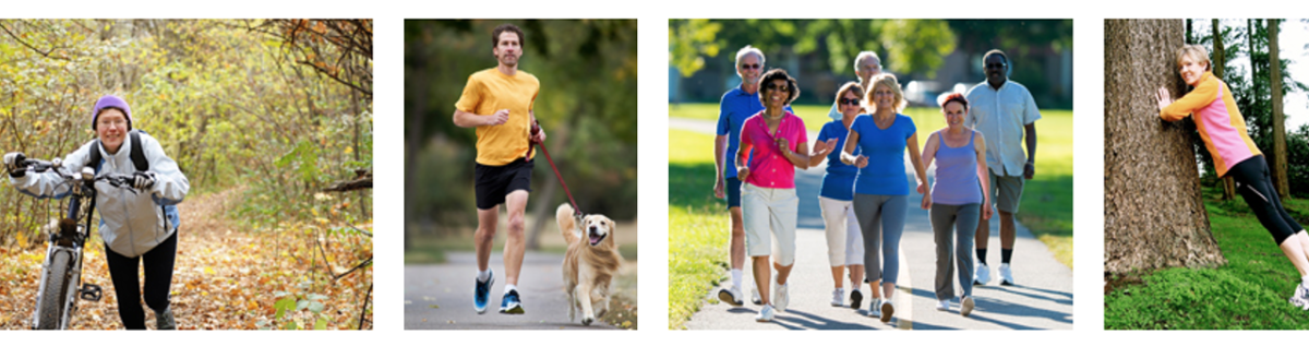 Exercise - Proactive Health Coach